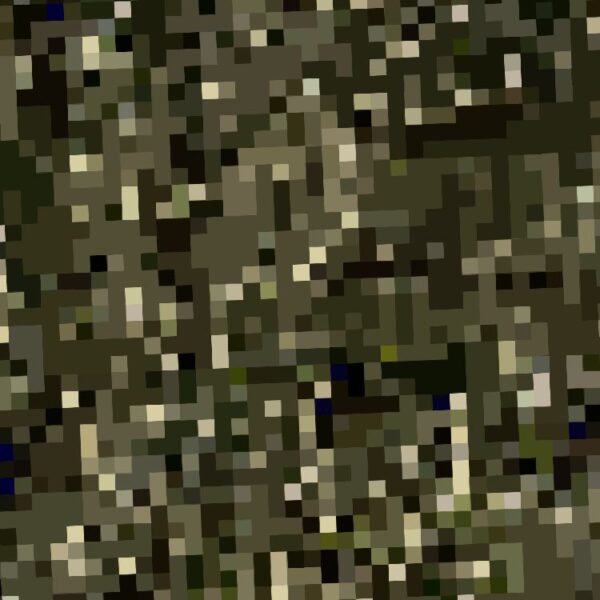 Digital 22 Camouflage | Liquid Concepts