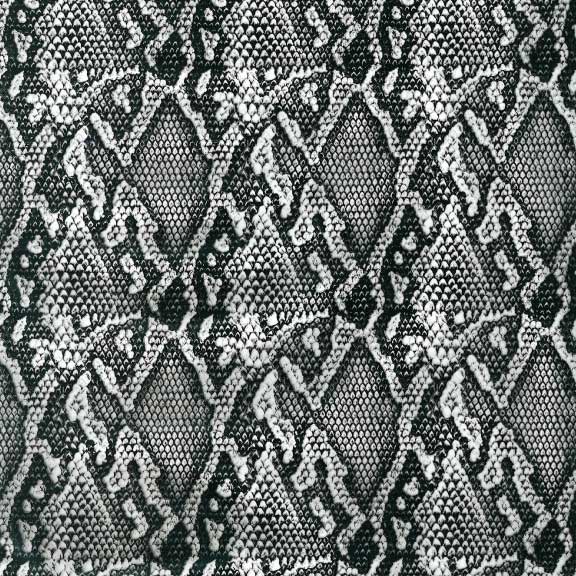 Snakeskin | Liquid Concepts